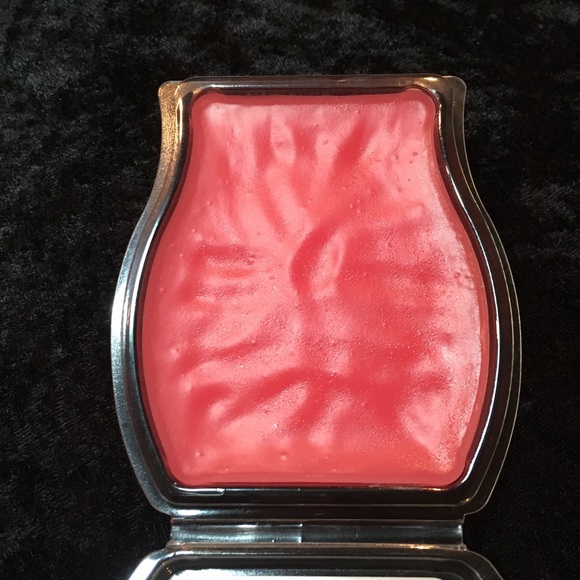 Scentsy | Accessories | Scentsy Watermelon Patch Bar | Poshmark